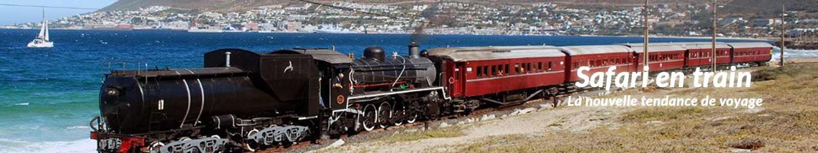 Safari en train : la nouvelle tendance ! - Tripconnexion