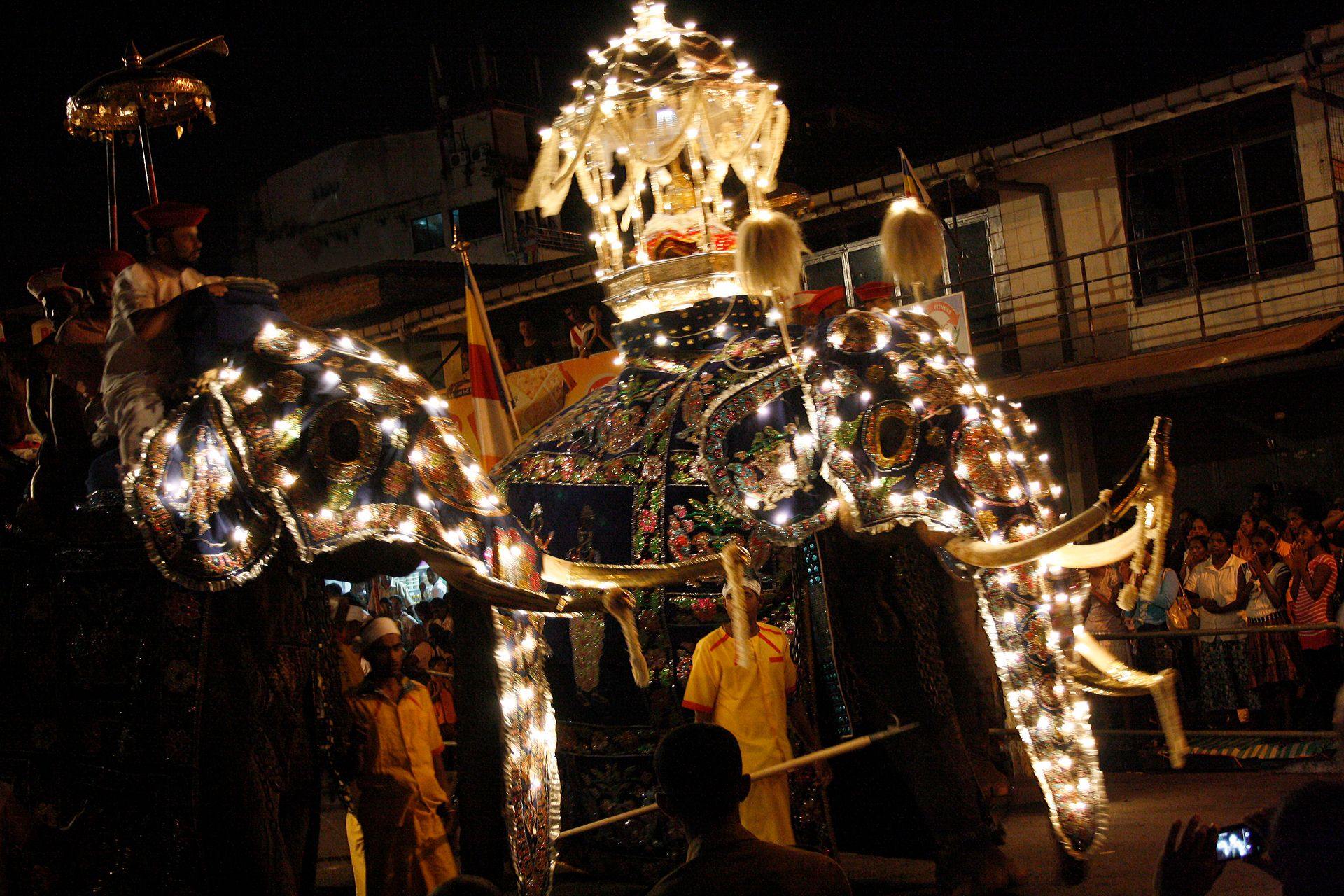 Plus grande procession religieuse d'Asie : Esala Perahera Kandy Sri Lanka